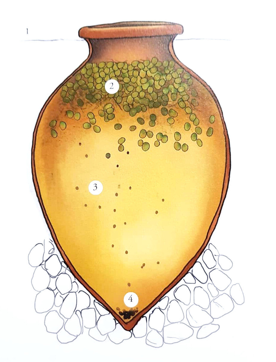 Méthode de vinification traditionnelle géorgienne en Kvevri