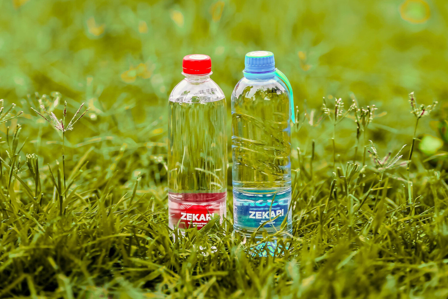 Eaux minérales naturelles géorgiennes | Tout ce qu'il faut savoir