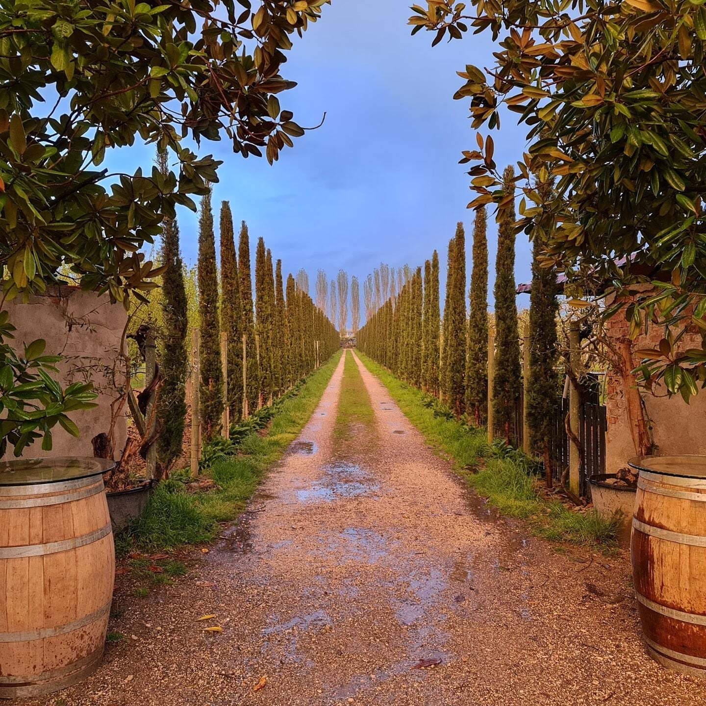 Uka Farm | Cave à vin | Albanie | Bagratrip